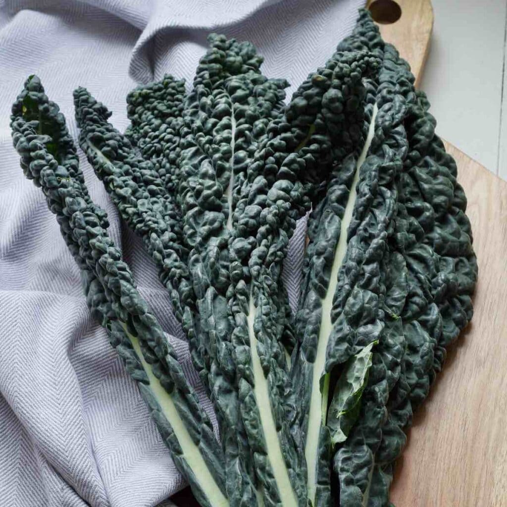 How To Cook Cavolo Nero - Jo's Kitchen Larder