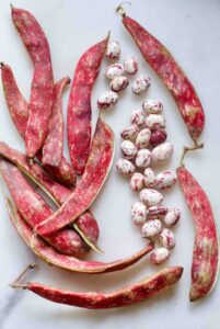 Guide to Cooking Borlotti Beans - Jo's Kitchen Larder