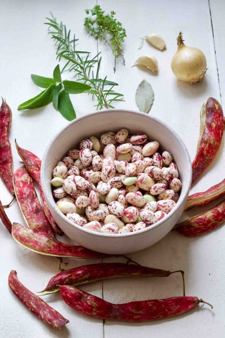 Guide to Cooking Borlotti Beans - Jo's Kitchen Larder